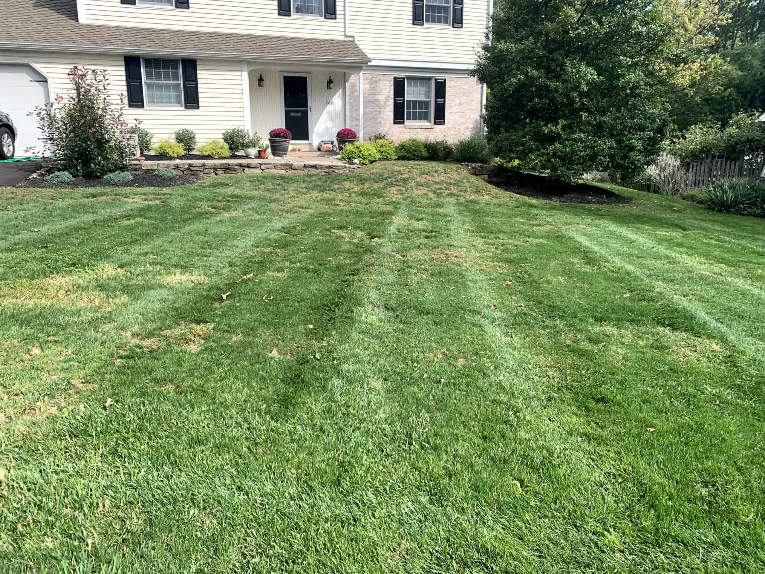 What Is The Most Effective Way To Aerate A Lawn?